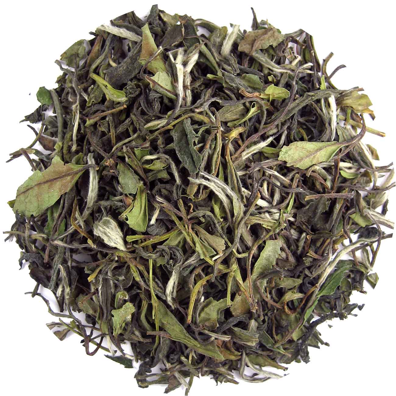 China Pai Mu Than Superior | Weißer Tee | Weißer Tee | Tee | Tea Goetz ...